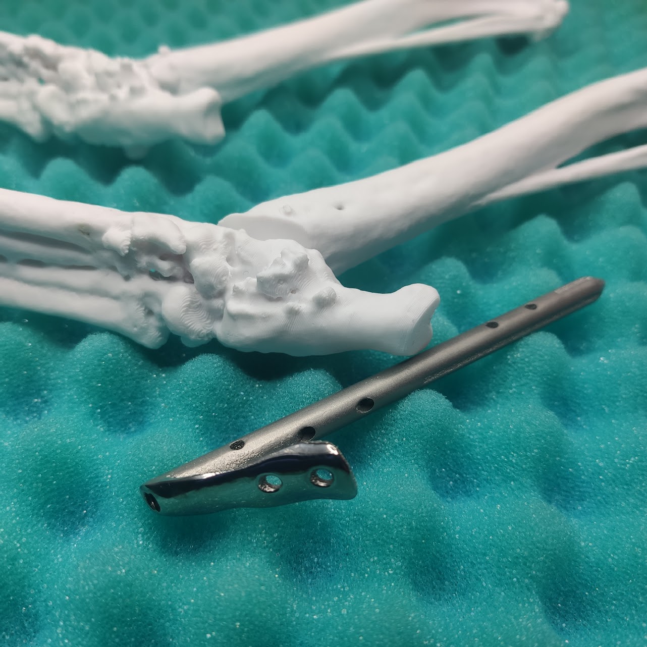 Tailored Solutions in Veterinary Orthopedics - Custom-Made Implants ...