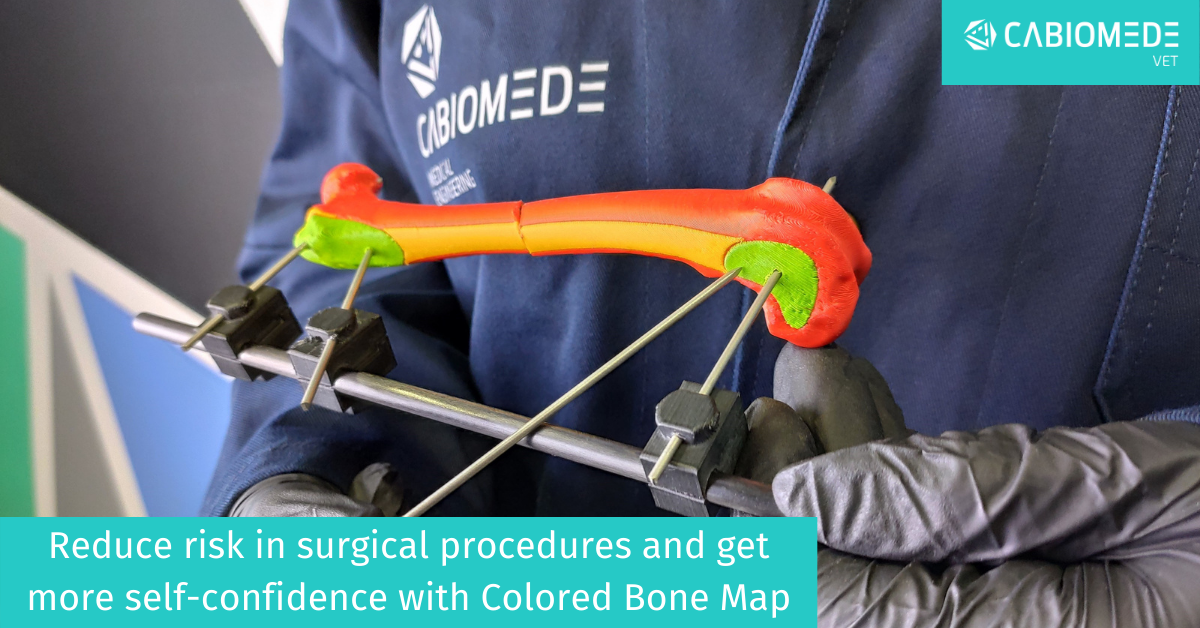 Colored Bone Map - Dog - Ulna & Radius CABIOMEDE